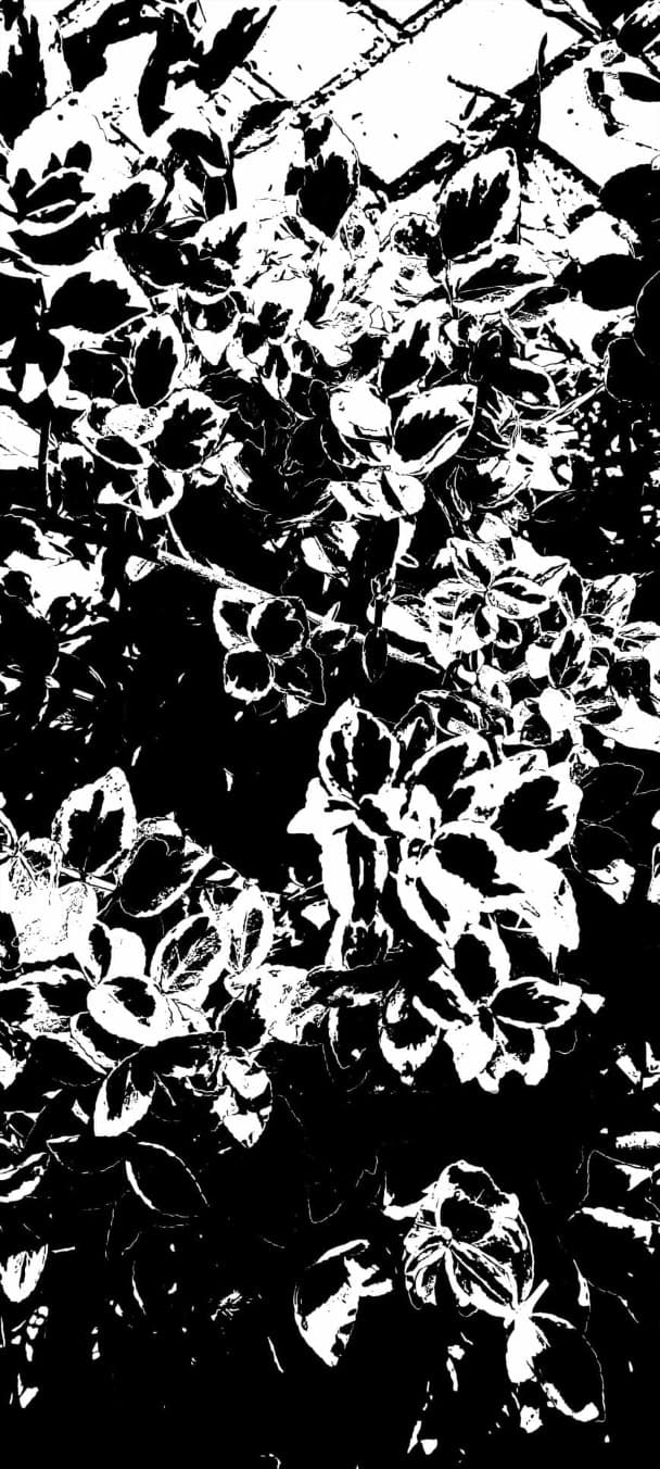 Stone flowers-2, buy contemporary painting in art online store with ...